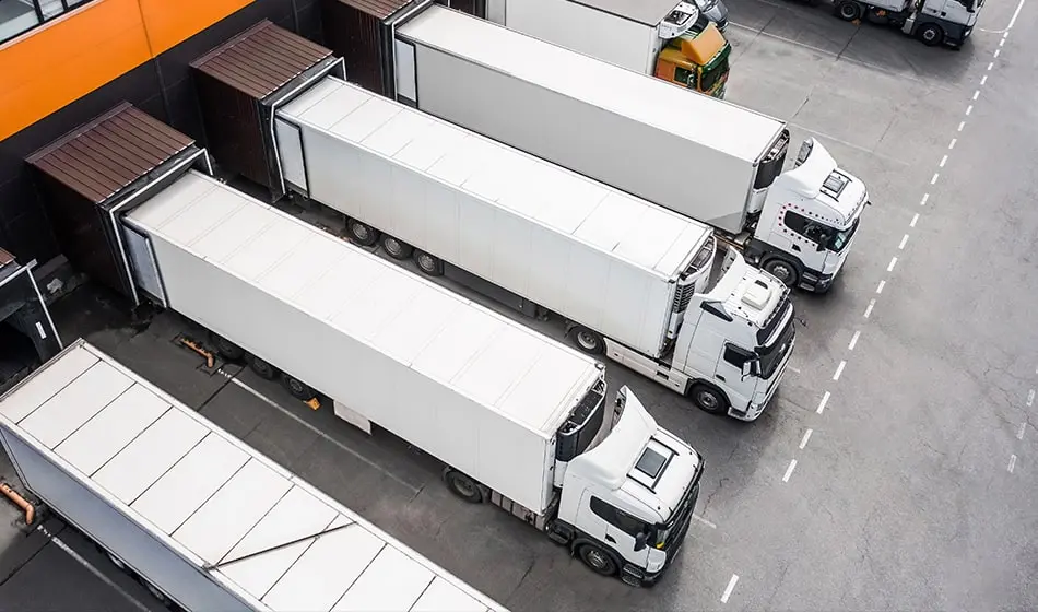 Golden Logistics - Noetic Media